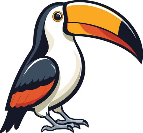 Colorful Toucan Illustration 49439511 Vector Art At Vecteezy