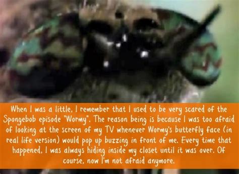 Spongebob Wormy Butterfly Face