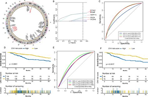 Construction And Validation Of The Cnv Model A Circos Plot Shows