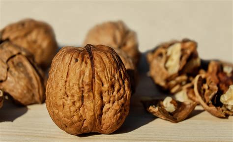 60000 Free Nut Texture And Texture Images Pixabay