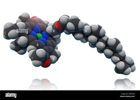 Chlorophyll Molecule Cut Out Stock Images And Pictures Alamy