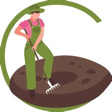 Planting Instructions For Periwinkle Flower Seeds