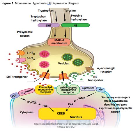 Webinar Summary Evolving Psychopharmacology Of Depression Beyond The