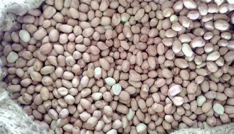 Natural Color Groundnuts Packaging Type Sacks At Rs 85kilogram In