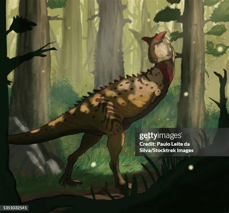 94 Carnotaurus High Res Illustrations Getty Images