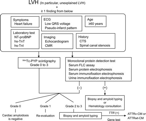 Sequential Diagnostic Algorithm For Attrwt‐cm 99mtc‐pyp Download Scientific Diagram