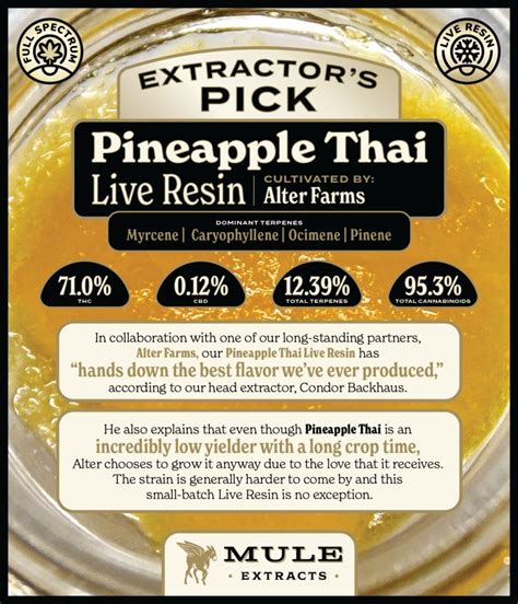 Mule Extracts On Linkedin Muleextracts Cannabis Cannabiscommunity