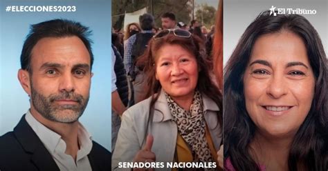 La Libertad Avanza Se Impone Con Dos Senadores En Jujuy