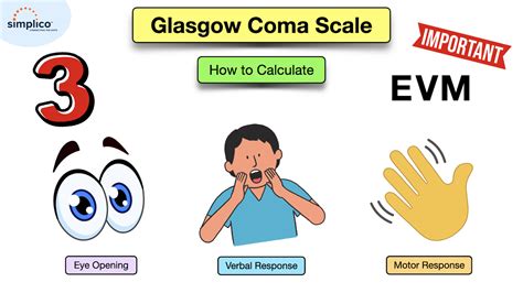 Glasgow Coma Scale Gcs How To Calculate A Score Charts And