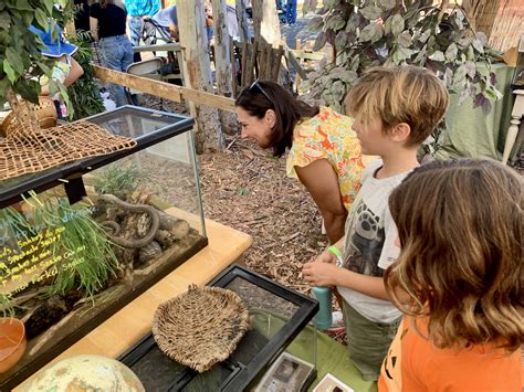 Its Officially Fall — Webb Ranch Pumpkin Patch Is Open Inmenlo