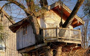 How To Build A Treehouse In Easy Steps