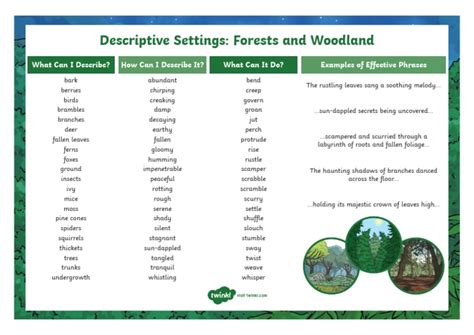 Ks2 Descriptive Setting Word Mat Forest Pdf