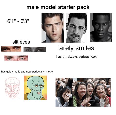 Male Model Starter Pack Rstarterpacks Male Model Starter Pack Rstarterpacks