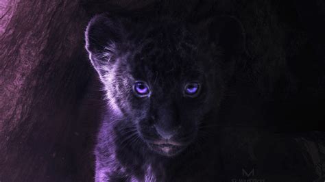 Simba Movie 4k Wallpapers Wallpaper Cave