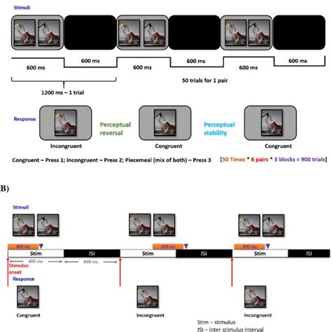 Experimental Design And Segmentation Strategy Figure Showing The A