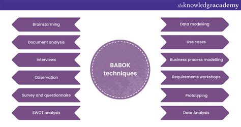 What Is Babok Business Analysis Body Of Knowledge Explained