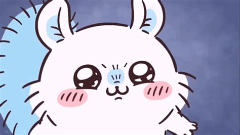 Chiikawa Momonga  Chiikawa Momonga Discover And Share S