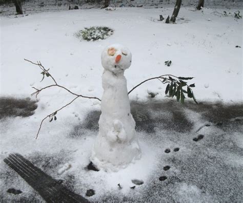 69 X Rated Snowmen That Are Truly Abombinable
