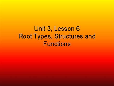 Unit 3 Lesson 6 Root Types Structures And