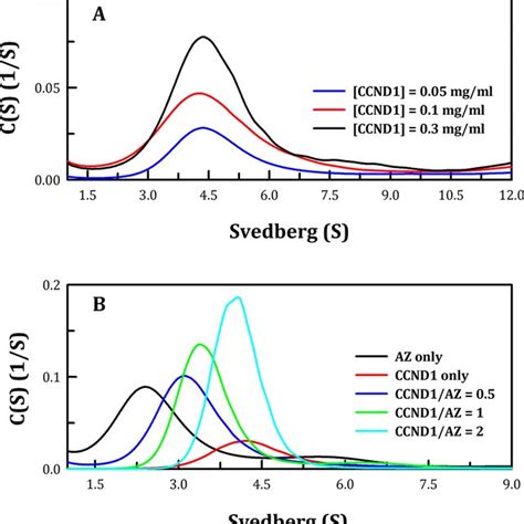 Continuous Sedimentation Coefficient Distribution Of The Human Ccnd1