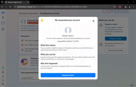 Clickbait To Catastrophe How A Fake Meta Email Leads To Password Plunder