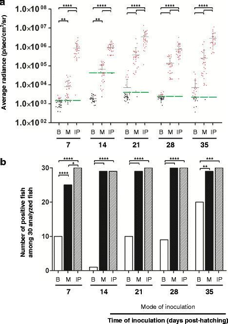 Quantitative Measurements Of The Effect Of The Mode Of Inoculation On