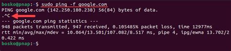 Linux Ping Command With Examples Phoenixnap Kb