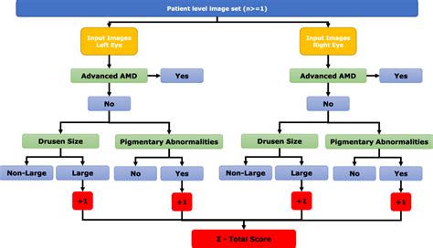 Automation Of Macular Degeneration Classification In Areds Opth