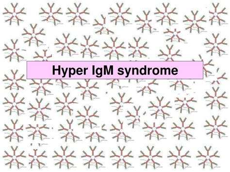 Ppt Immunodeficiencies Powerpoint Presentation Free Download Id