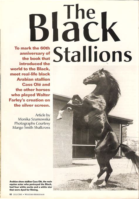 Cass Ole The Black Stallion