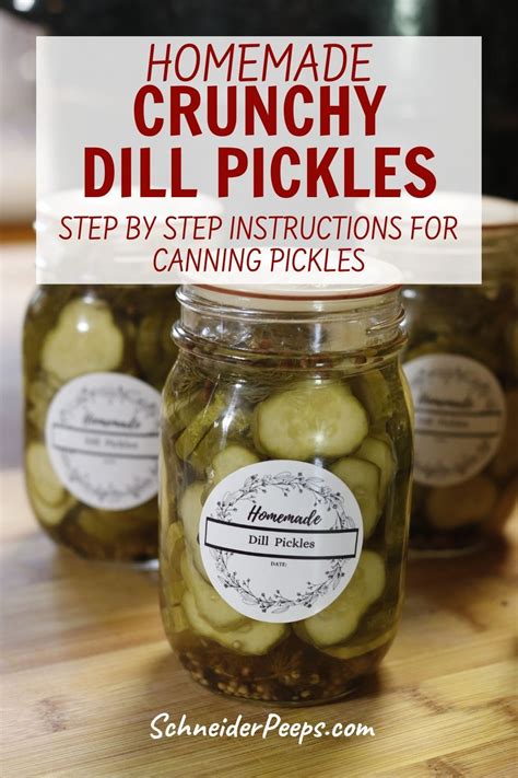 Crispy Dill Pickles Artofit