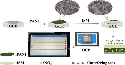 Schematic Illustration Of The Preparation Process And Nitrate Detection