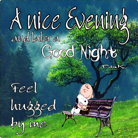 Funny Snoopy Daily Good Night Everyone 😴💤 Instagram