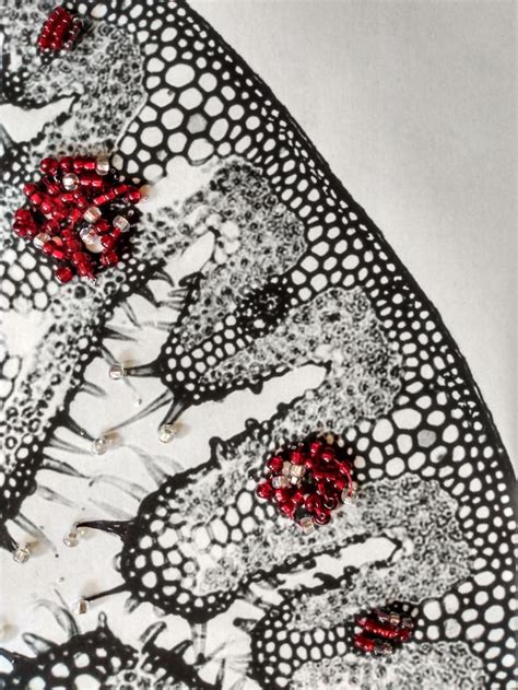 Maram Grass Pen And Ink Parts Of A Plant Hand Beading