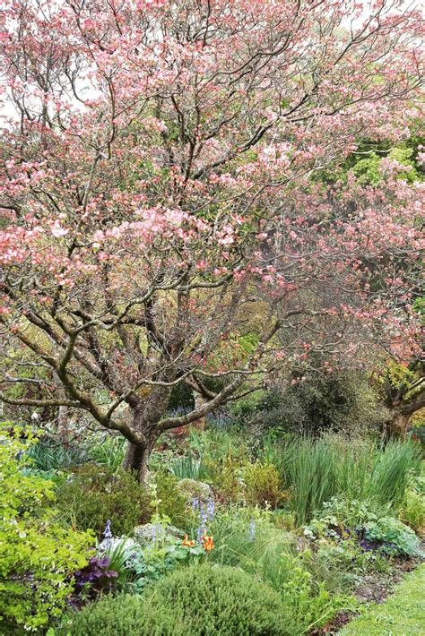 Tour An Expansive Mount Tomah Garden Filled With Rare Plants Perkins