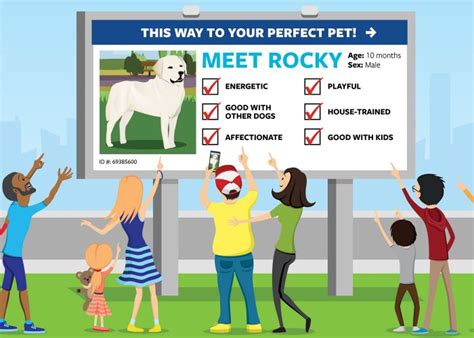 Fact Sheet How To Determine A Kittens Sex Humanepro By The Humane