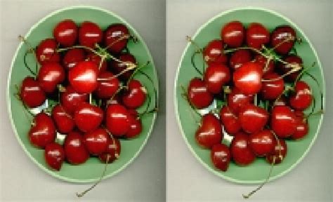 Stereoscopic Scanner In Quality Control Semantic Scholar