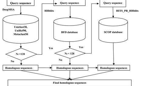 Workflow Of Homologous Sequences Download Scientific Diagram