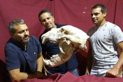 Descoberto Na Argentina Um Urso Gigante Que Viveu Há 700 000 Anos