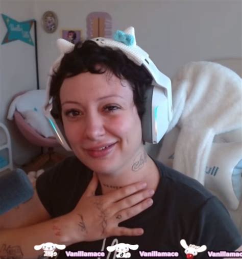 Vanillamace Twitch Insta Tiktok Twitch Banner  Hello Kitty