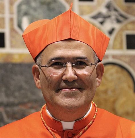 Cardinale José Tolentino De Mendonça Collegio Cardinalizio Una Rassegna