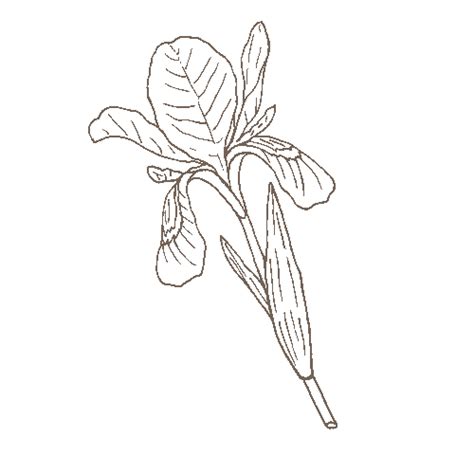 Sex On Fire Me You Bed Now