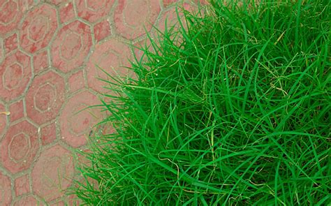 Grass And Cobblestone Construction Slabs Textured Photo Background And
