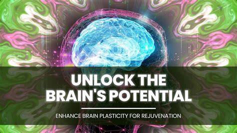 Unlock The Brains Potential Enhance Brain Plasticity For