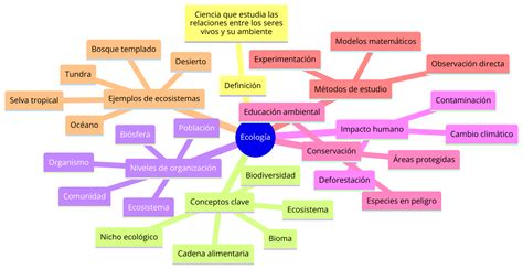Mapa Conceptual De La Ecología Y La Biología Concienciaeco