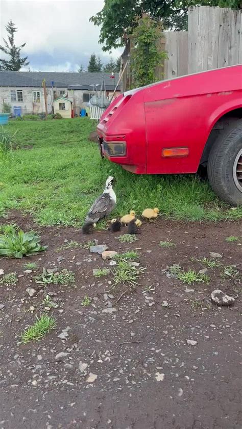 Mother Wait For Us Album On Imgur