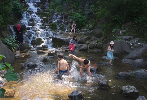The Busy Waterfall Nicepx