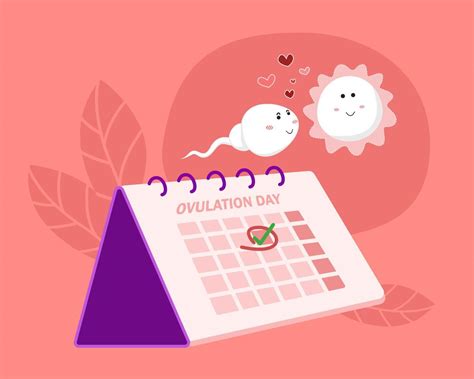 Ovulation Concept Hand Mark Ovulation Date On Calendar With Sperm And