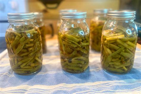 Easy Way For Storing Green Beans Using A Pressure Canner The Ranchers Homestead
