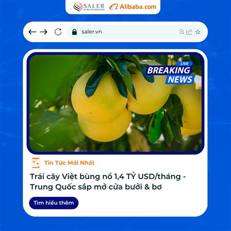 Saler Đơn Vị Ủy Quyền Chính Thức Hàng Đầu Việt Nam